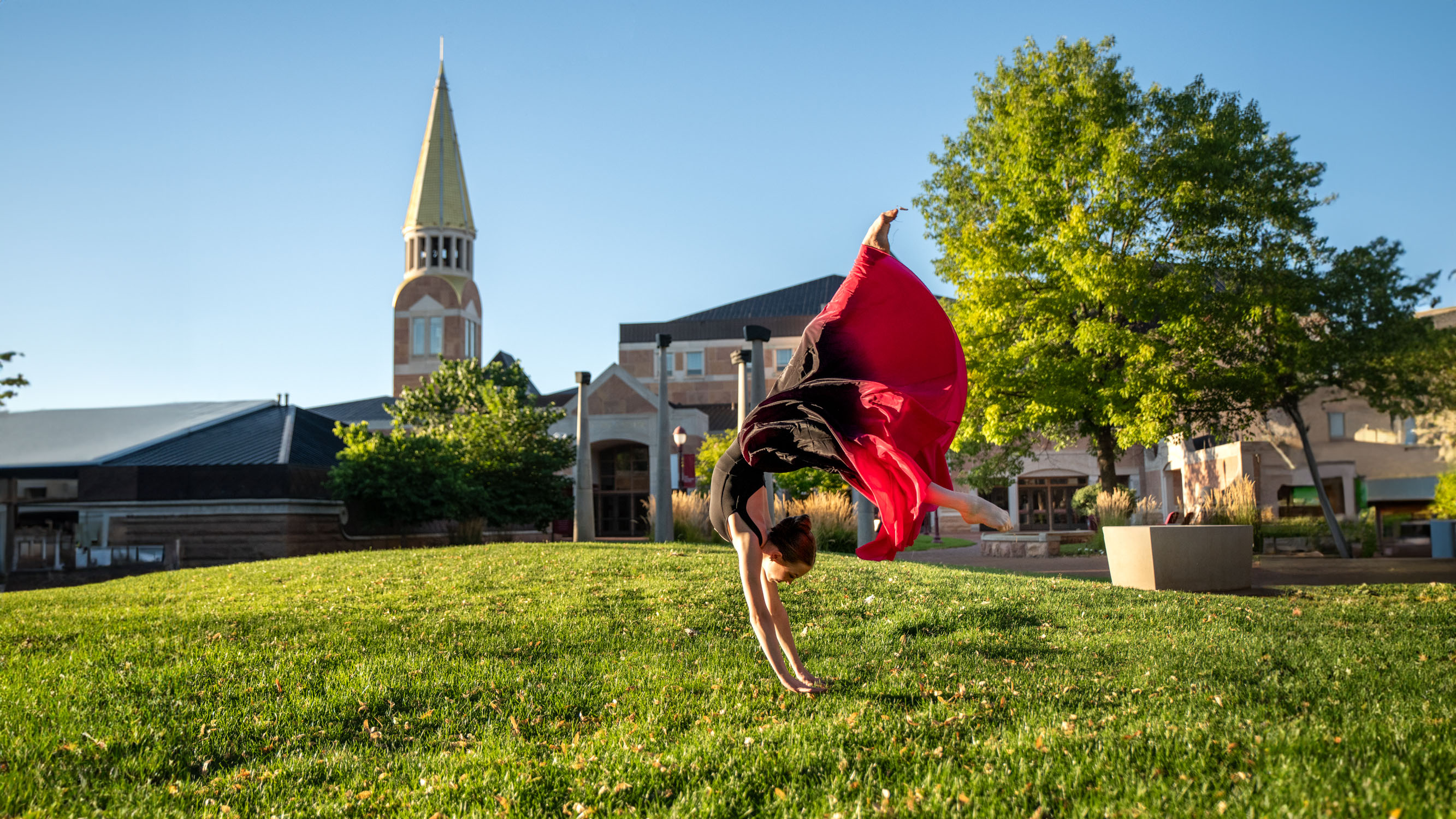 Photography | ddillon art